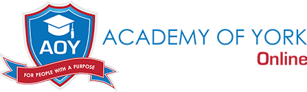 AOY Online